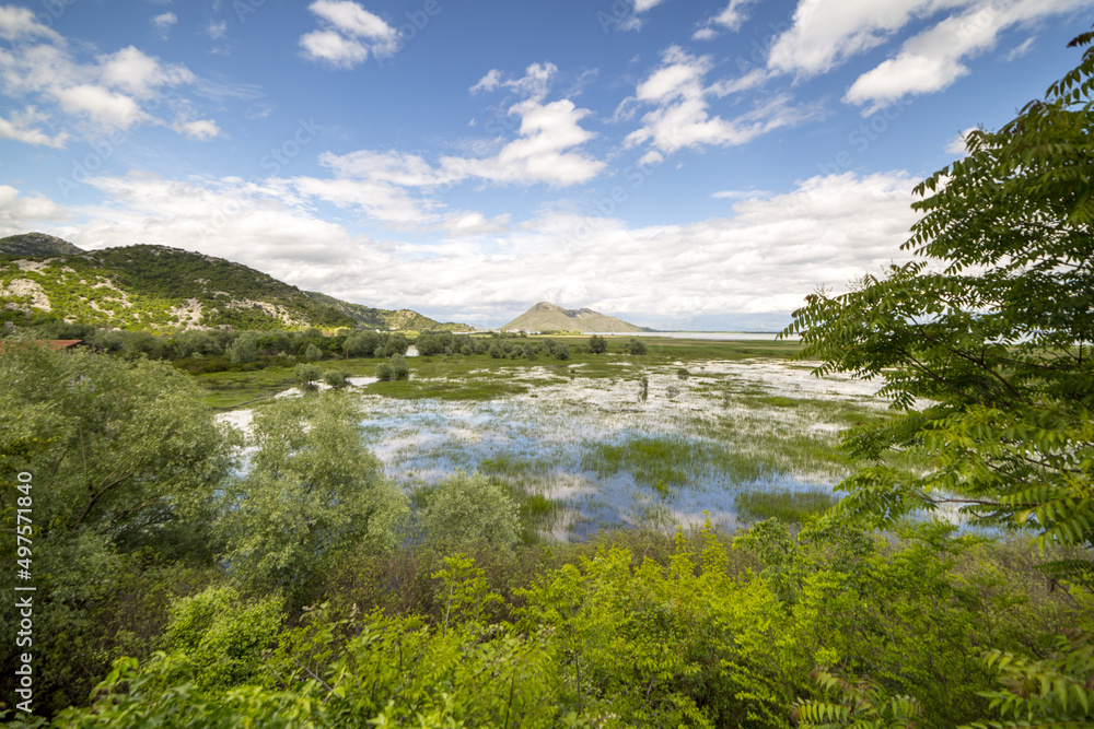 Beautiful view of the Lake Skadar (Skadarsko Jezero) with greenery and hills in Montenegro Stock ...