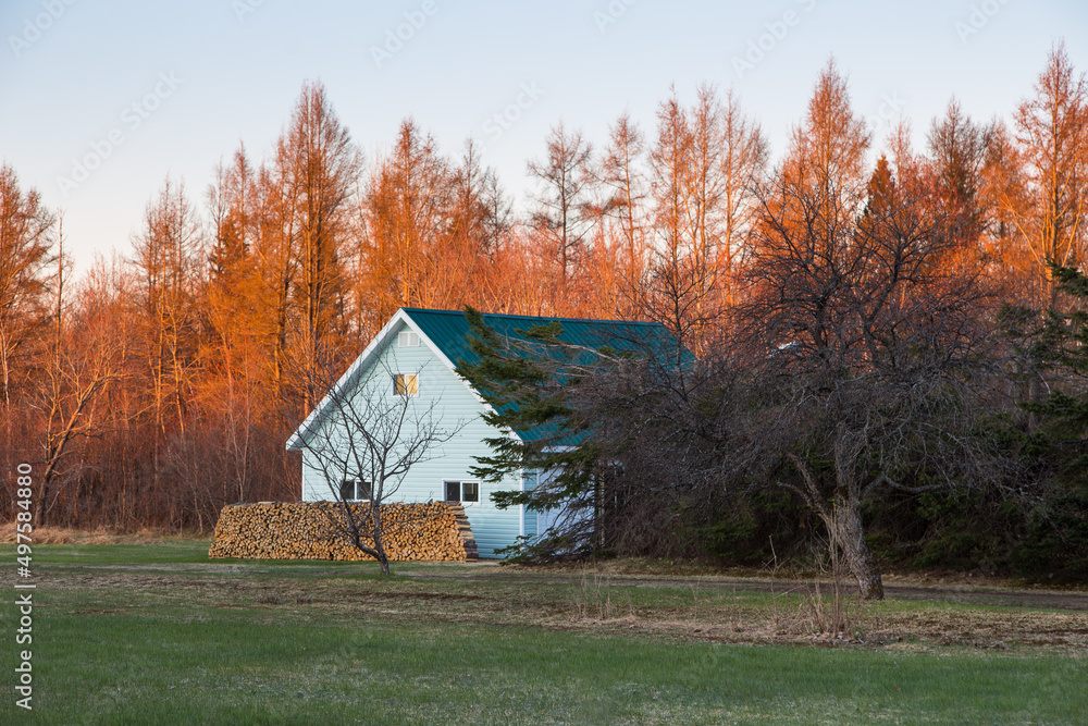 Pale blue barn with green roof and a stack of firewood seen during a ...
