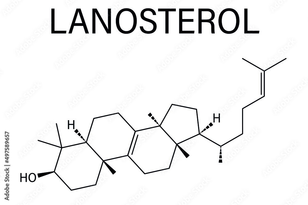 Lanosterol molecule. Investigated for treatment of cataract. Skeletal ...