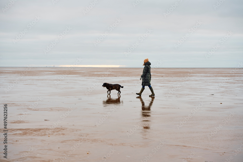 Female walking her dog at low tide on a beach in winter Stock Photo ...