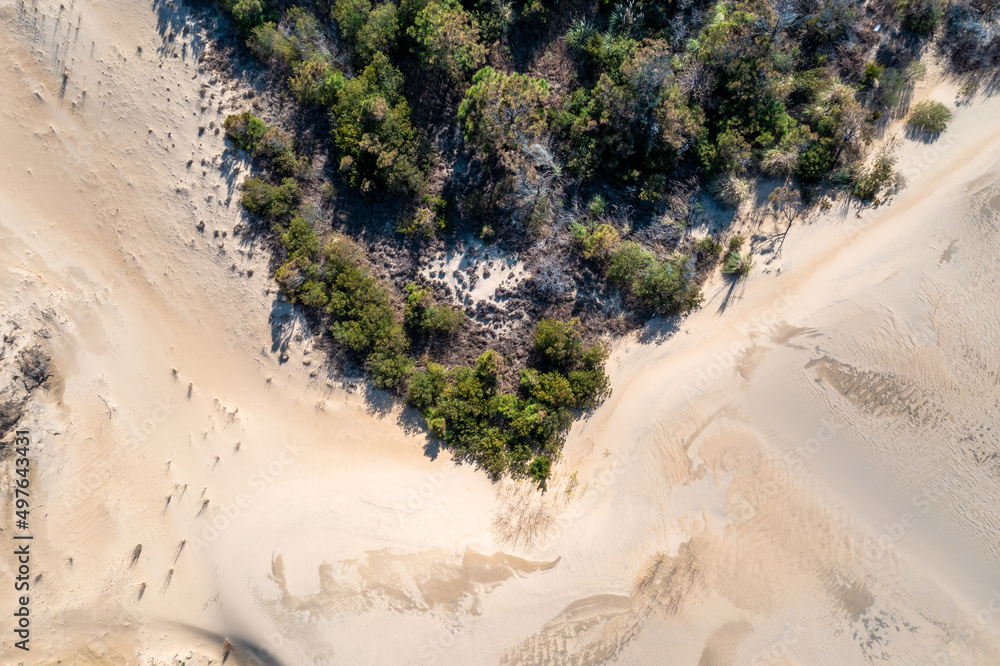 Aerial View Top down of maritime forest protruding into sand dunes ...