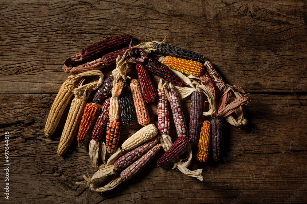 Group of corns of different colors in a wooden table Stock Photo ...