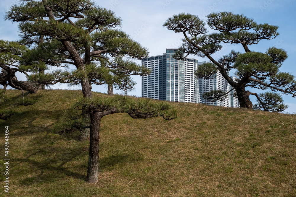 Tokyo view with park and architectural Stock Photo | Adobe Stock