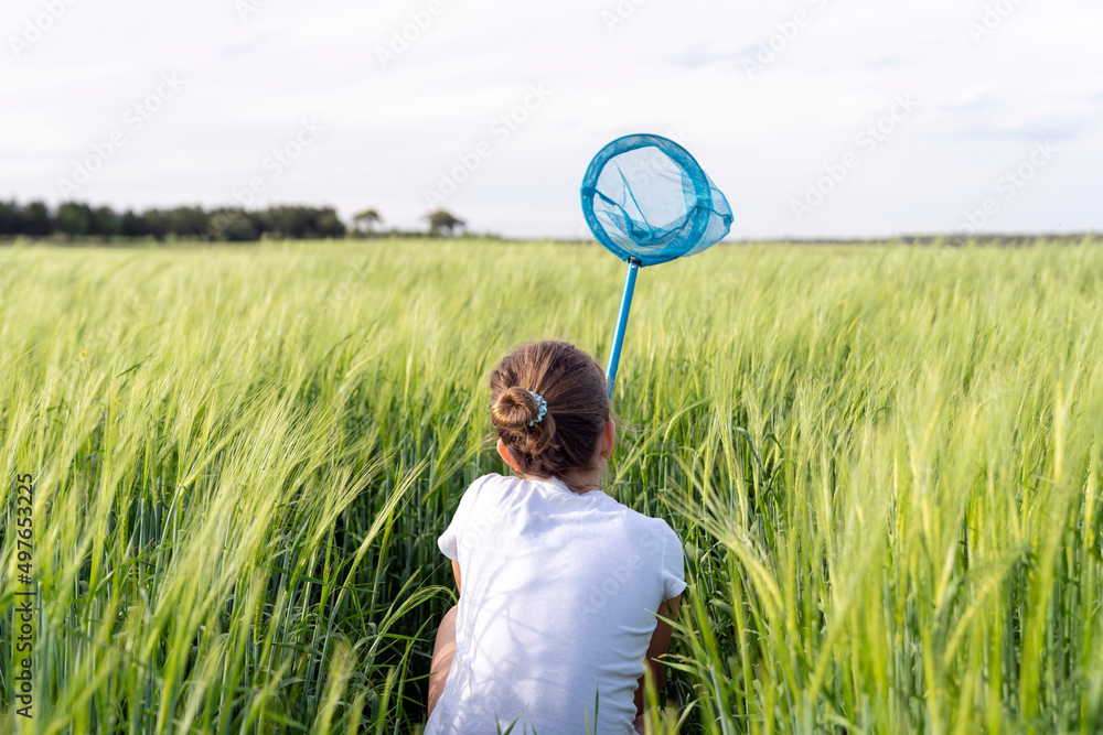 Little girl catching bugs with butterfly net in field Stock Photo ...