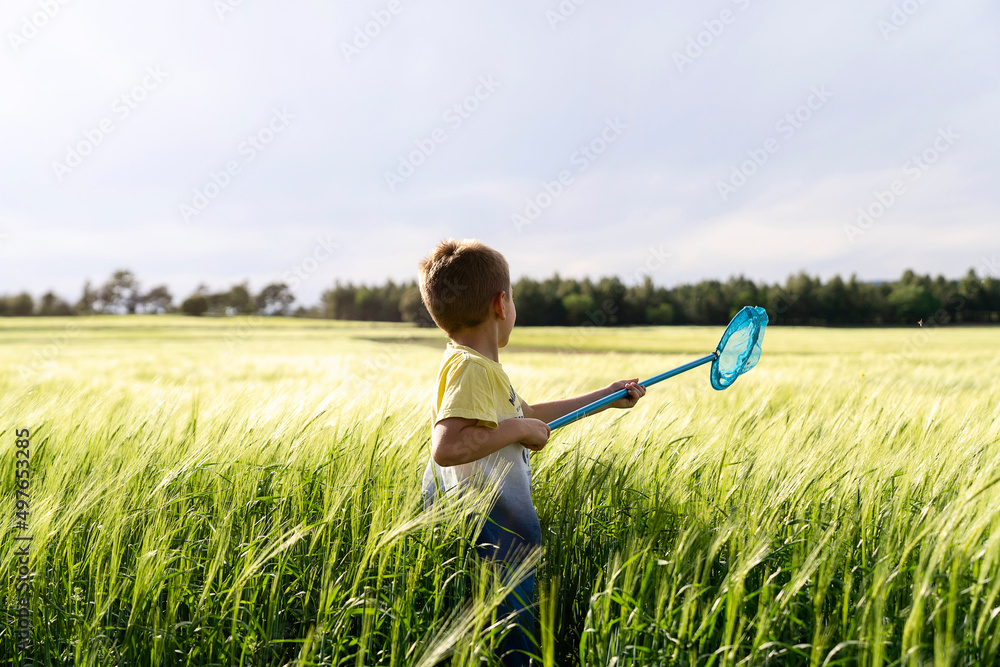 Active child catching insects with net in field Stock Photo | Adobe Stock