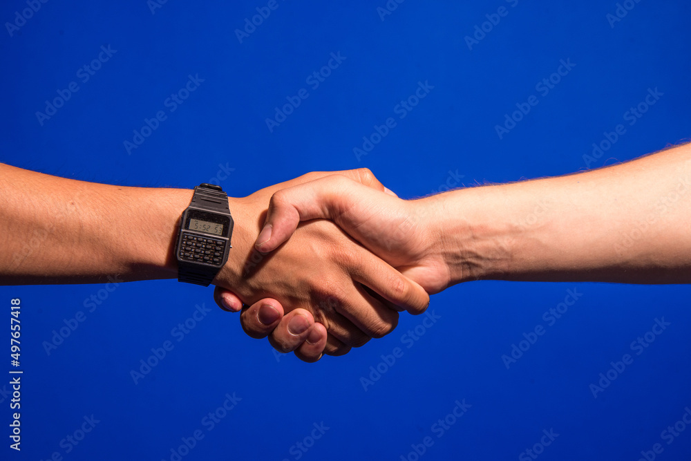 Hand shake Stock Photo | Adobe Stock