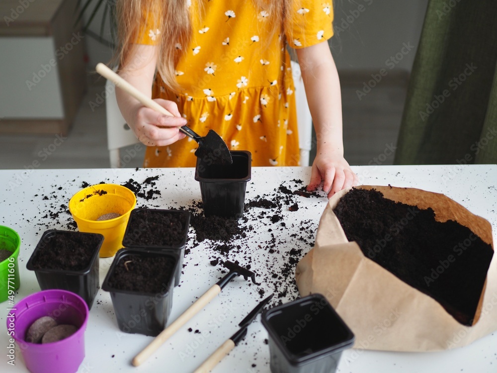 Female child hands holding garden tools. Little girl planting seeds in ...