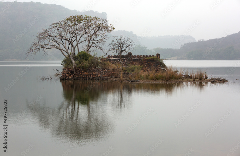 Padma Talao and the ruins of ancient structures in Ranthambore National ...