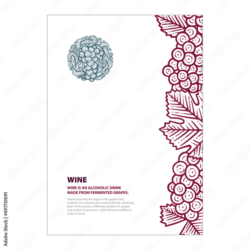 Grape and wine vintage style illustrations. Wine list design template ...