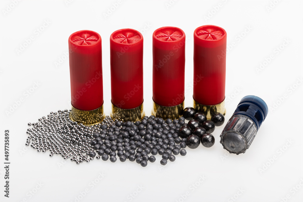 Foto de Slug , Difference size of shot inside the 12 gauge shotgun ...