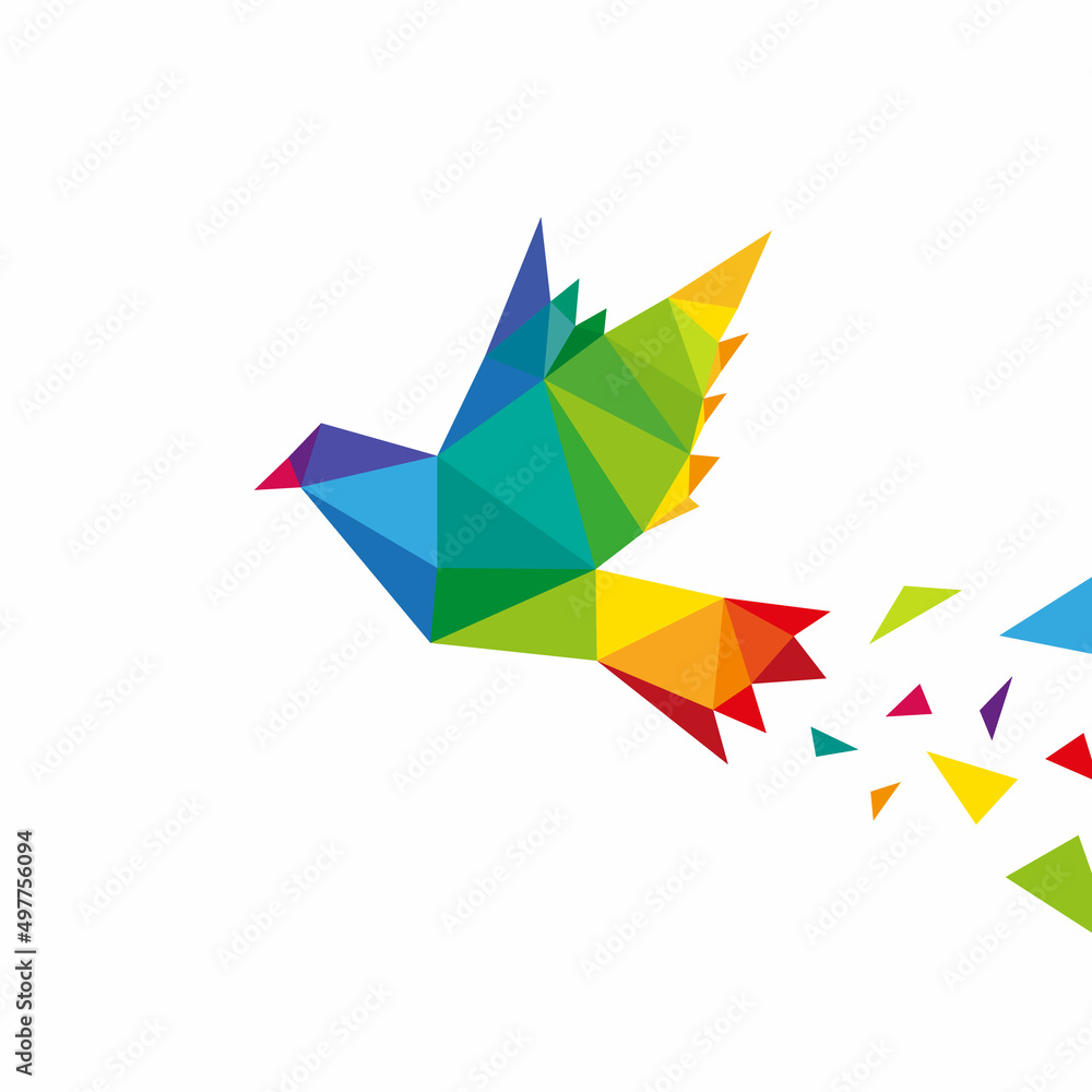 Bird abstract triangle design concept element isolated on a white ...