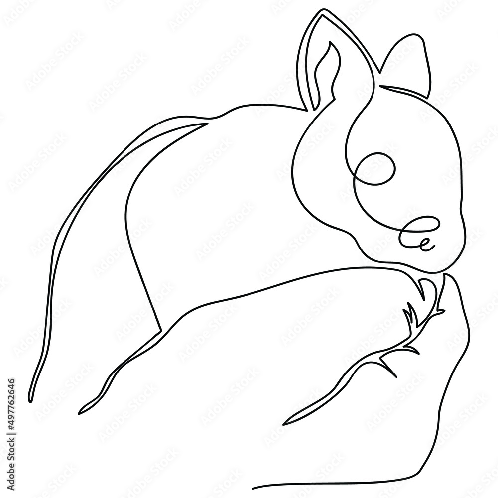Continuous one line drawing of baby rabbit, Vector illustration line ...