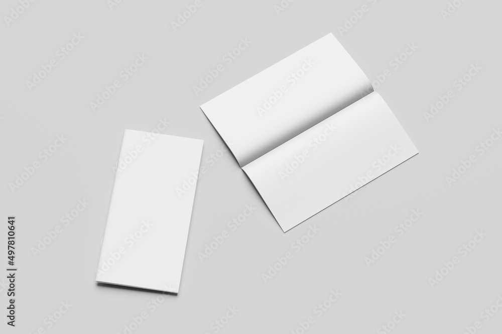Dl brochure magazine mockup Stock Illustration | Adobe Stock Dl brochure magazine mockup Stock Illustration | Adobe Stock