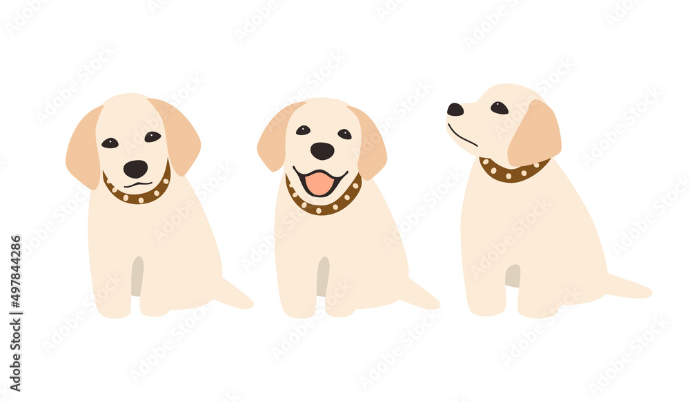 Golden Retriever sitting on the ground, front view, vector illustration ...