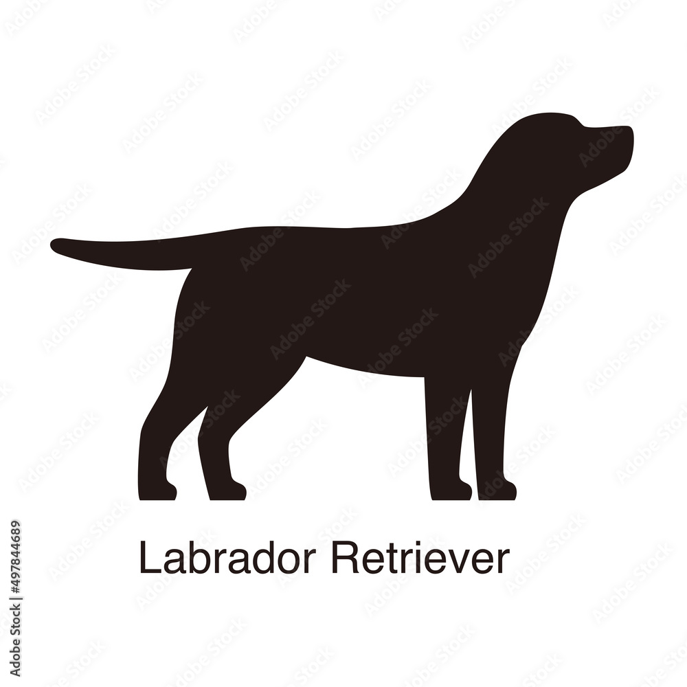 Labrador Retriever dog silhouette, side view, vector illustration Stock ...