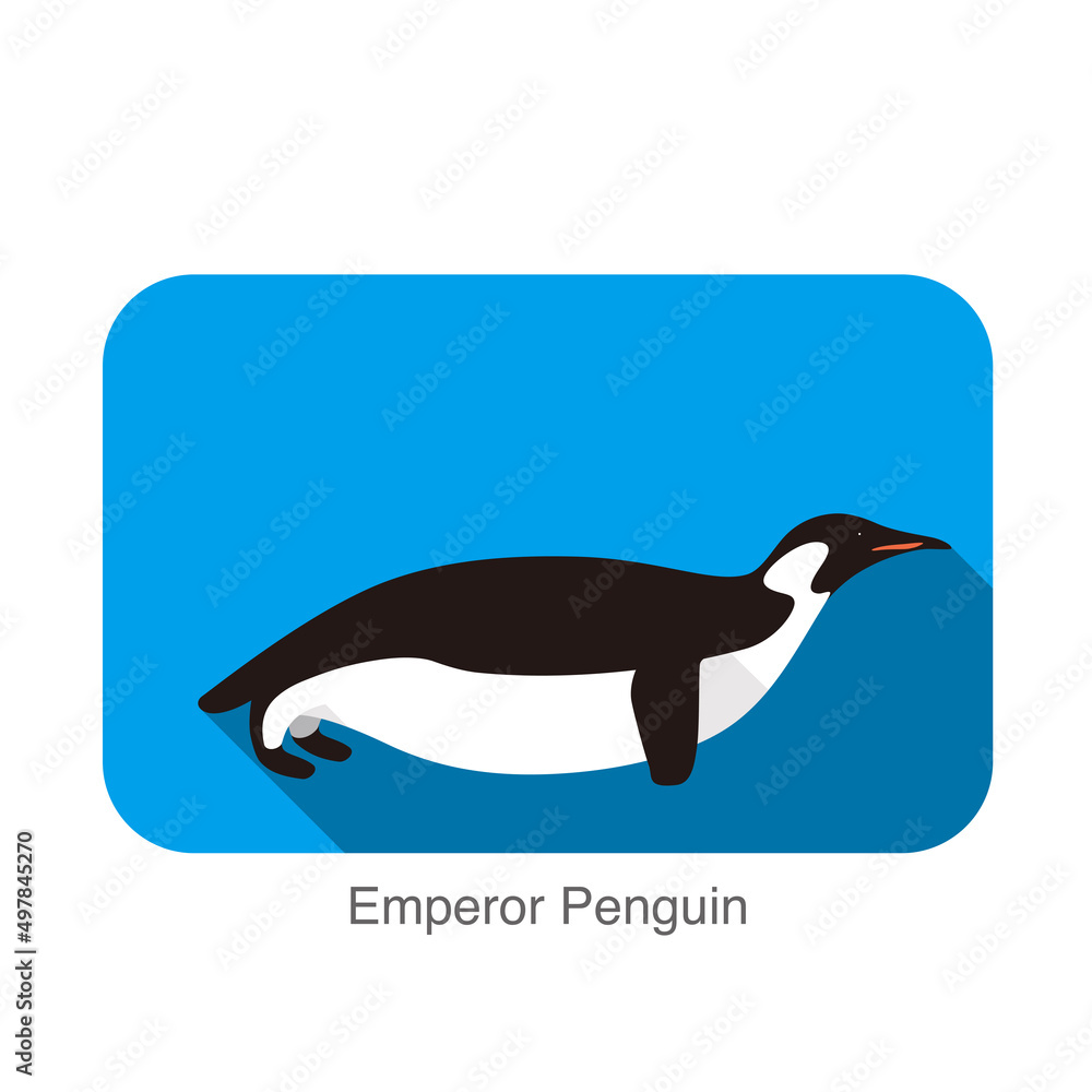 Emperor Penguin sliding on the ground, Penguin seed series, vector ...
