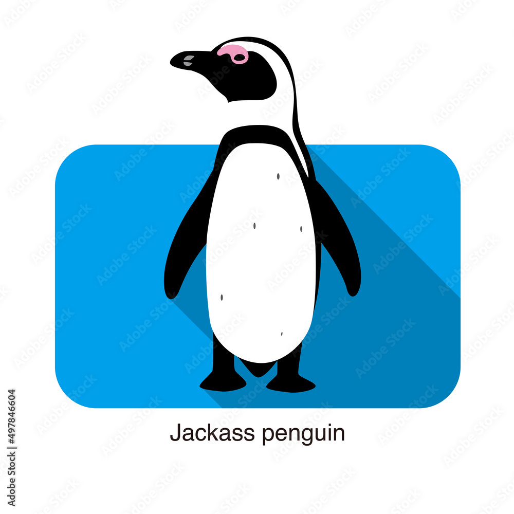 Jackass penguin standing on the ground Stock Vector | Adobe Stock