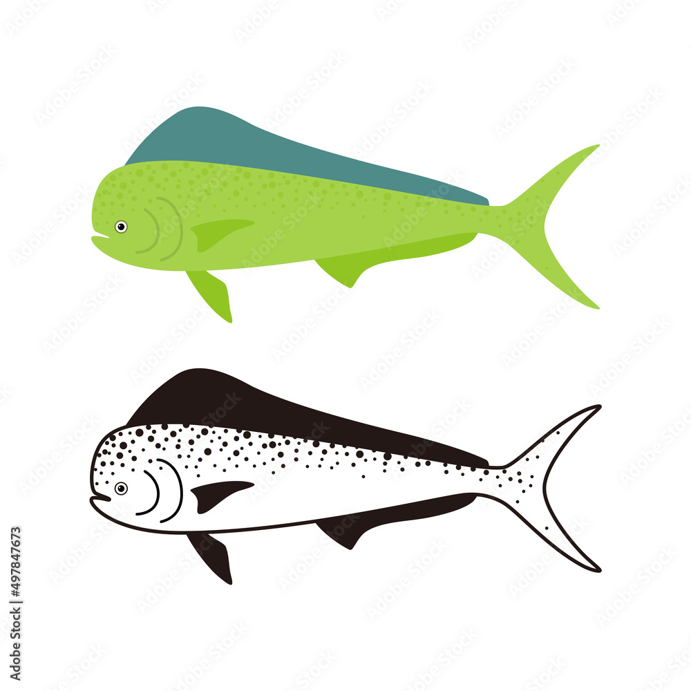 Common Dolphinfish, Dorado fish, vector illustration Stock Vector ...