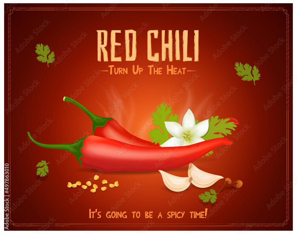 Red chilli vegetable vector illustration with garlic clove on a red ...