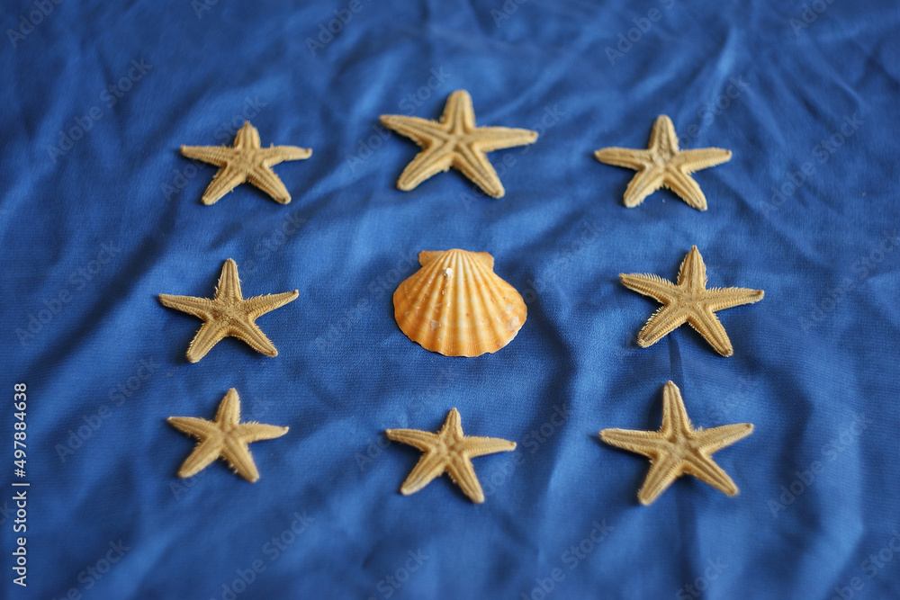 beautiful shell is prominent and is surrounded by starfish. Leadership ...