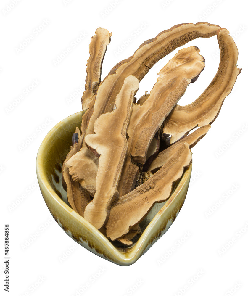 HERB Ganoderma lucidum - Ling zhi mushroom sliced isolated on white ...
