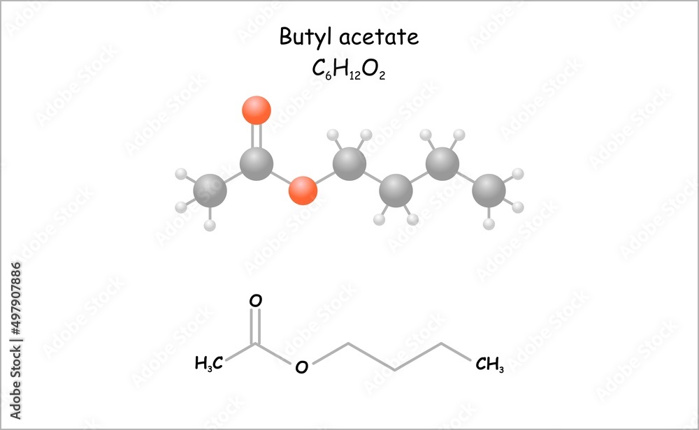Stylized molecule model/structural formula of butyl acetate. A ...