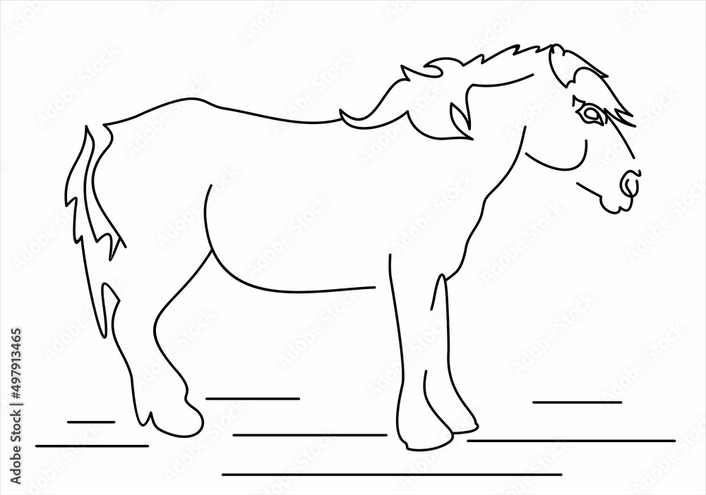 Pony, Vector hand drawing-line.vector illustration Stock Vector | Adobe ...