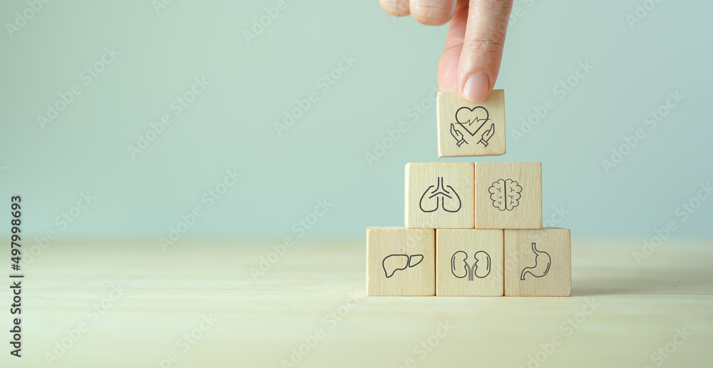 Internal organ protection. Critical illness insurance. Protection ...