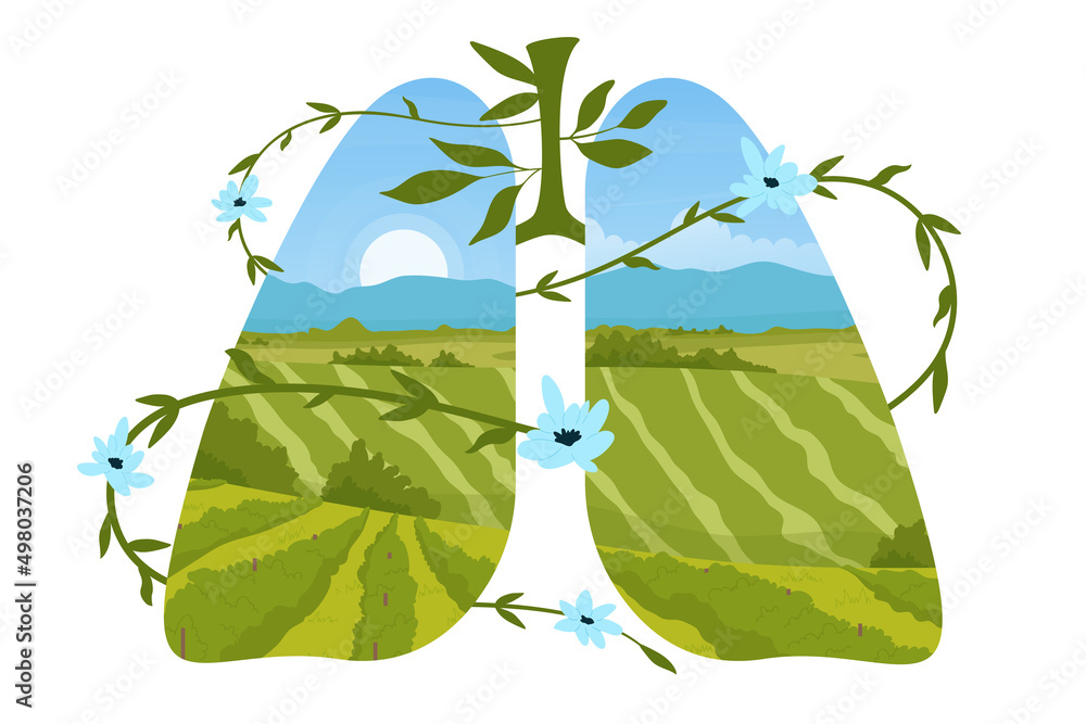 Green summer fields and vineyards, pure clean nature inside abstract ...