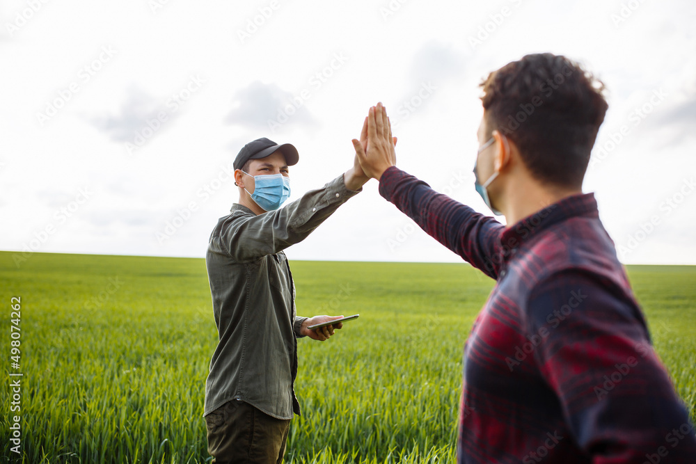 Farmers giving each other high-five in wheat field. Smart farm. Men in ...