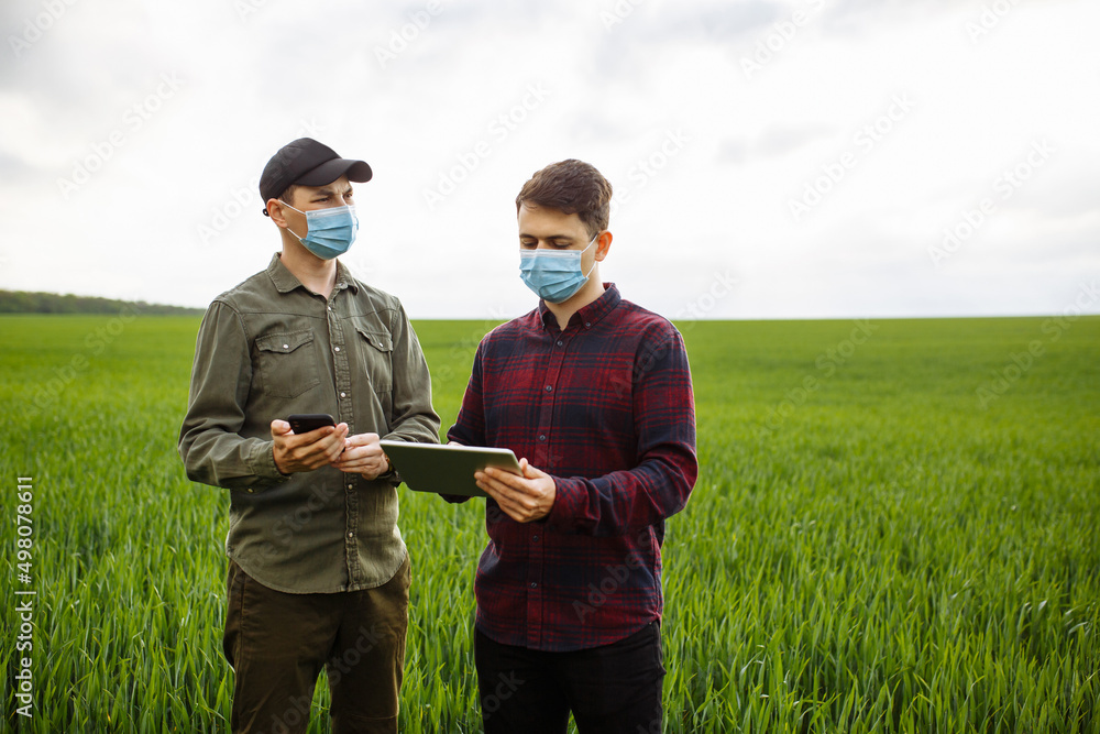 Two young farmers in masks with a tablet check the harvest. Men in a ...