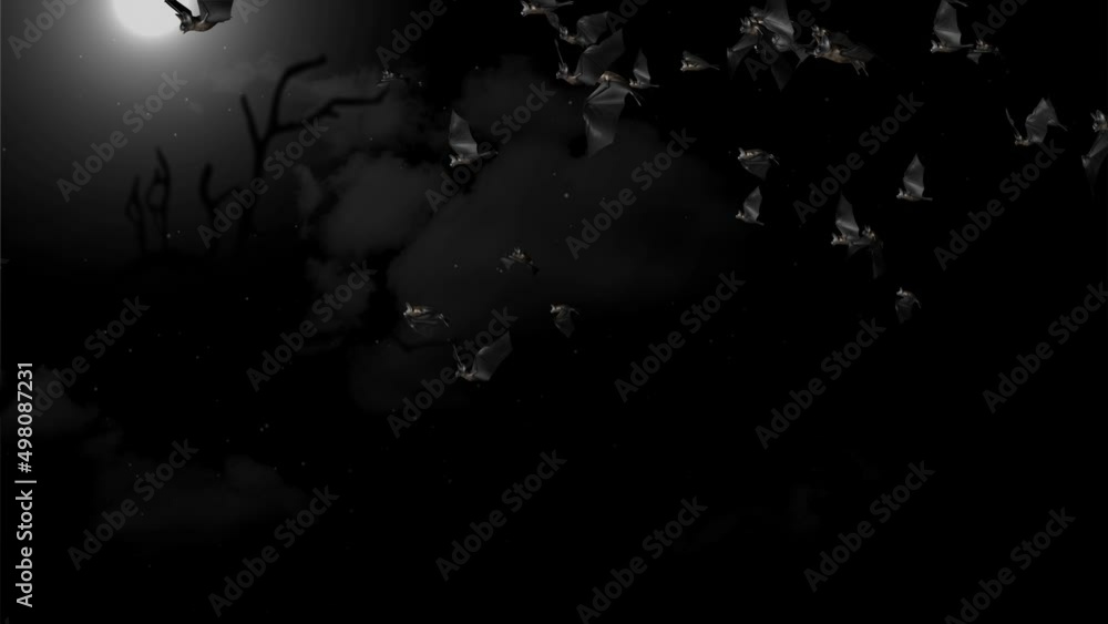 Bats Animation Halloween Black Bats Flying 4K on Green screen ...