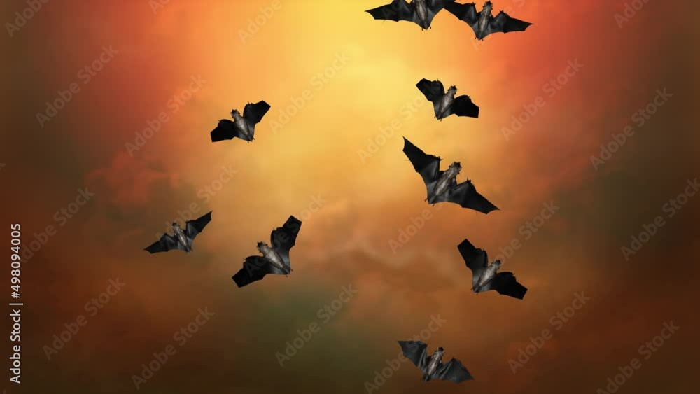 Video Stock Halloween Night festival Bats Flying up Group or flock of ...
