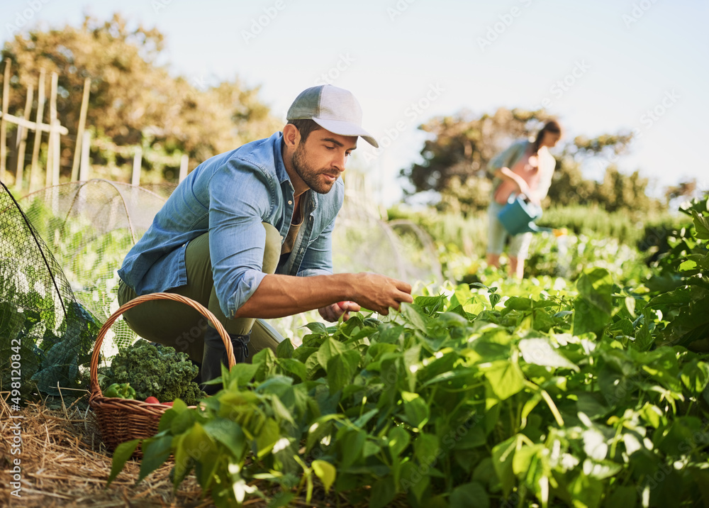 Reaping the rewards of his hard work. Shot of two happy young farmers ...