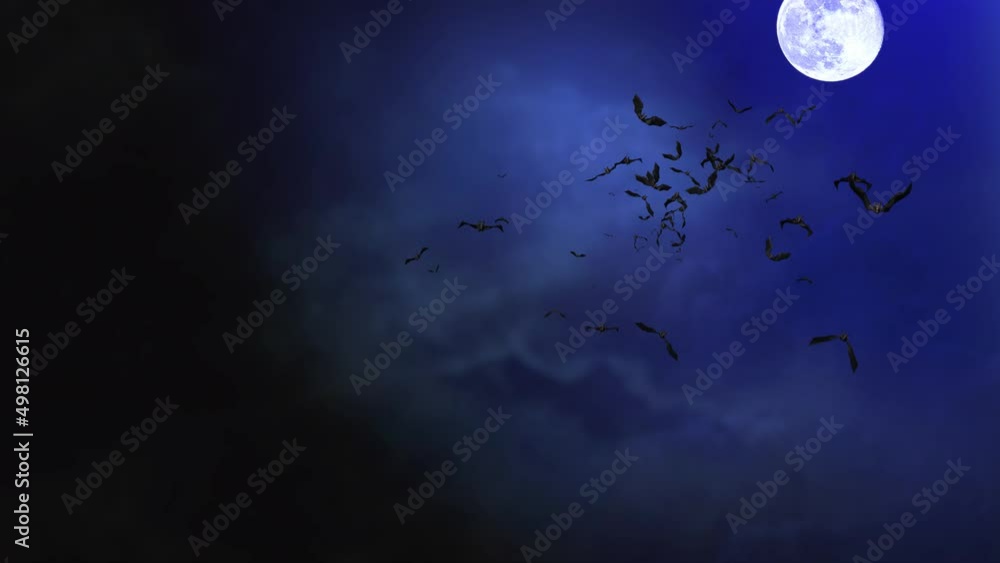 Flying Bats Animation with Black green screen Loop Halloween Bats ...