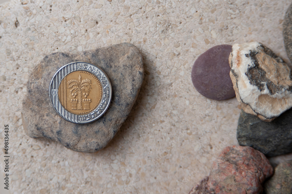 The back side of the 10 shekel bimetallic silver and gold Israeli coin ...