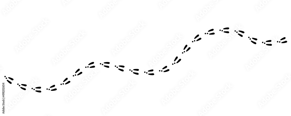 Rabbit or hare footprint trail. Bunny foot prints on snow. Rabbit paw ...