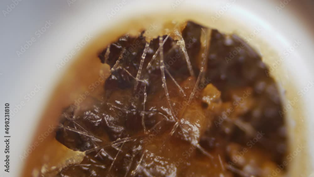 Ear wax cleaning. Dirty TWS headphones under microscope. Consumer ...