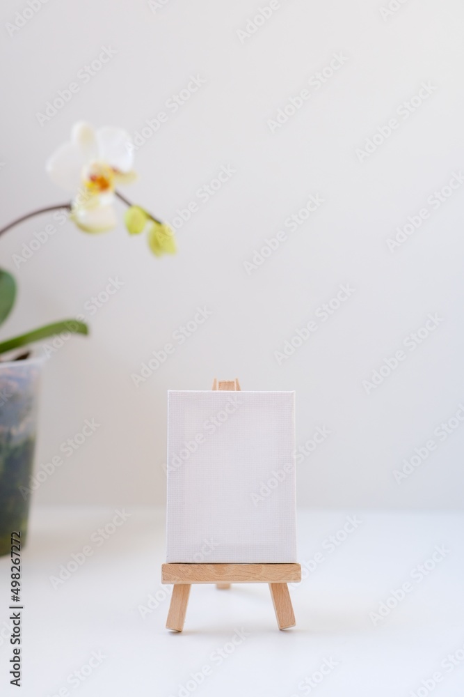 Minimalistic simple natural light mock up template. Empty space for ...