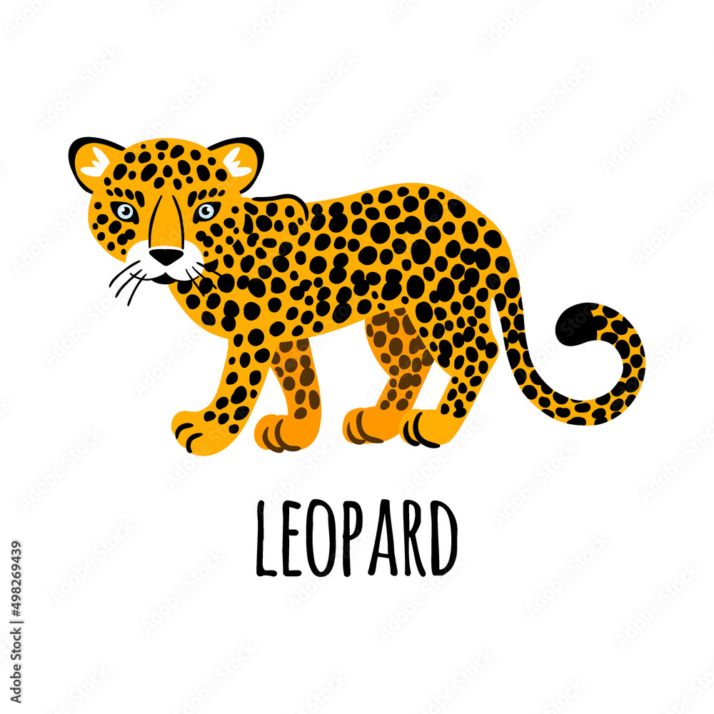 Leopard clipart. African animal vector illustration isolated on white ...
