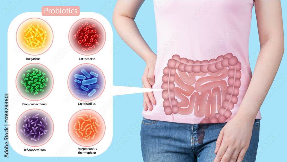 Benefits Of Lactobacillus Bulgaricus
