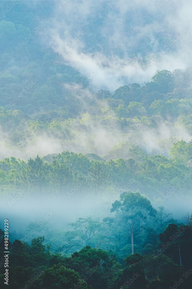 Stockfoto vertical banner background of tropical forest landscape scene ...