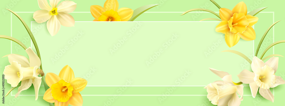 Romantic banner with floral border of daffodils. Template for greeting ...