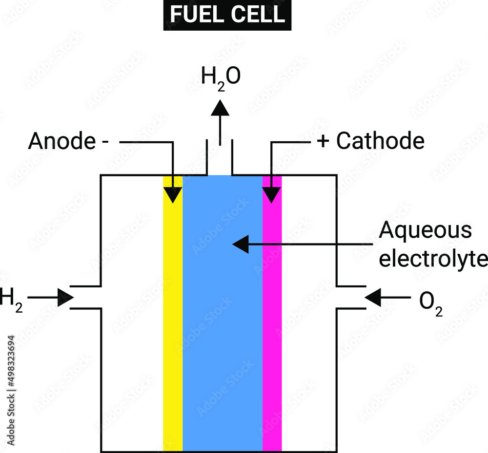 fuel cell is an electrochemical cell Stock Vector | Adobe Stock