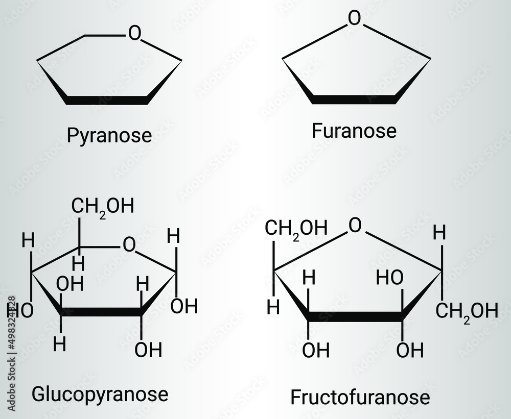 Structure of Glucopyranose and Fructofuranose Stock Vector | Adobe Stock