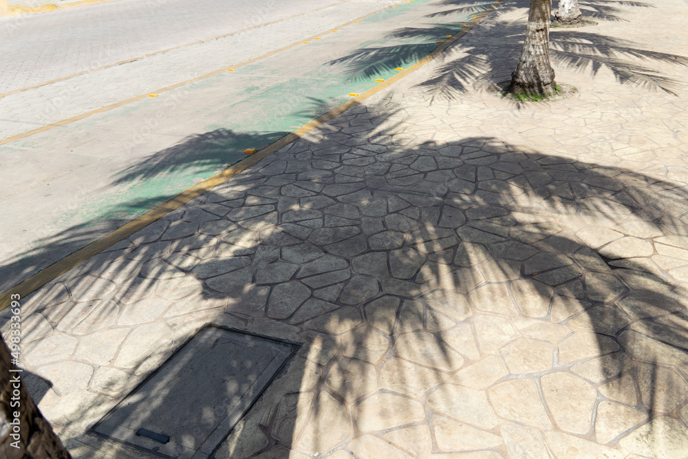 The shadow of a palm tree on the paving slab. Shadow from the branches ...