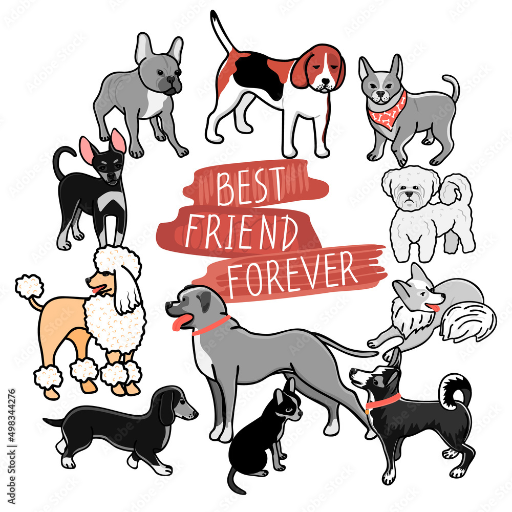 Best friends poster with dogs of different breeds in cartoon and hand ...
