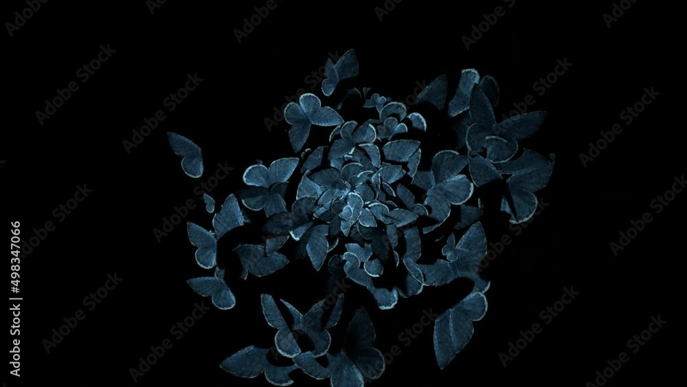 Lots of moths fly fast on black background 3D animation 4K. Creepy ...
