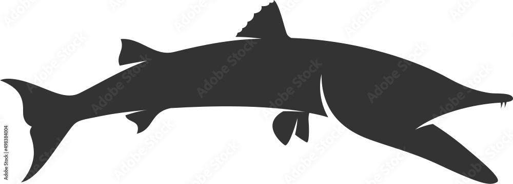 Barracuda Silhouette. Isolated Vector Animal Template for Logo Company ...