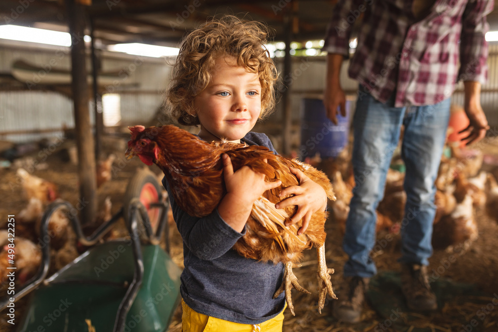 Cute blond boy holding hen with father in background at pen at poultry ...